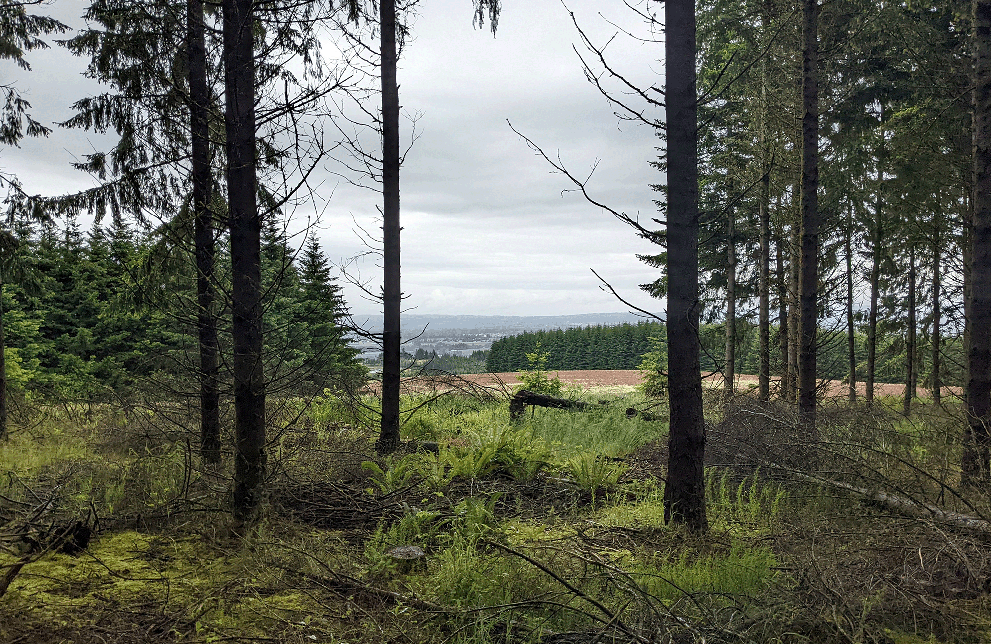 Air Quality Permitting for NXT Clean Fuels | Maul Foster Alongi